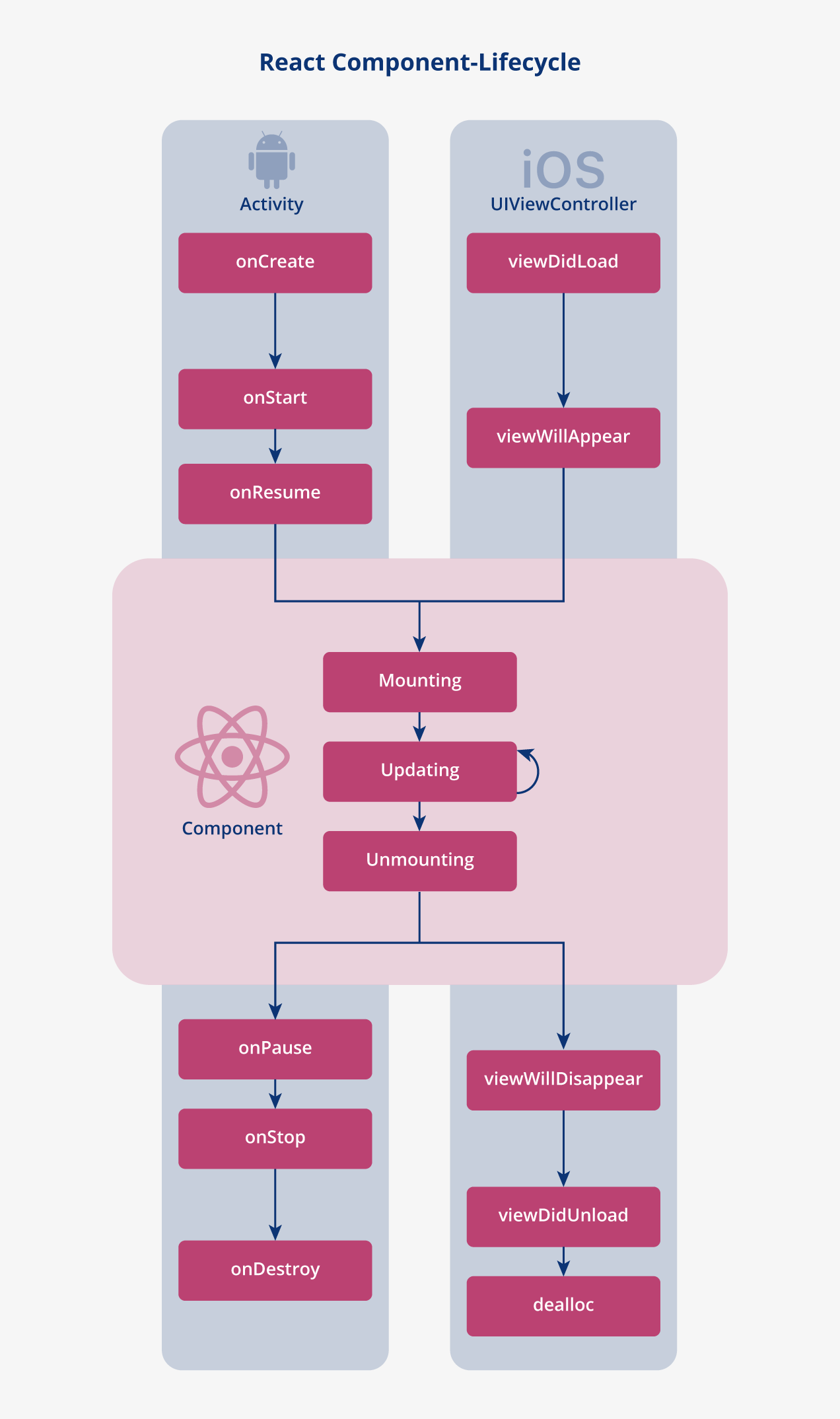 ReactJS против React Native - ключевые различия, преимущества и недостатки - Notissimus.com
